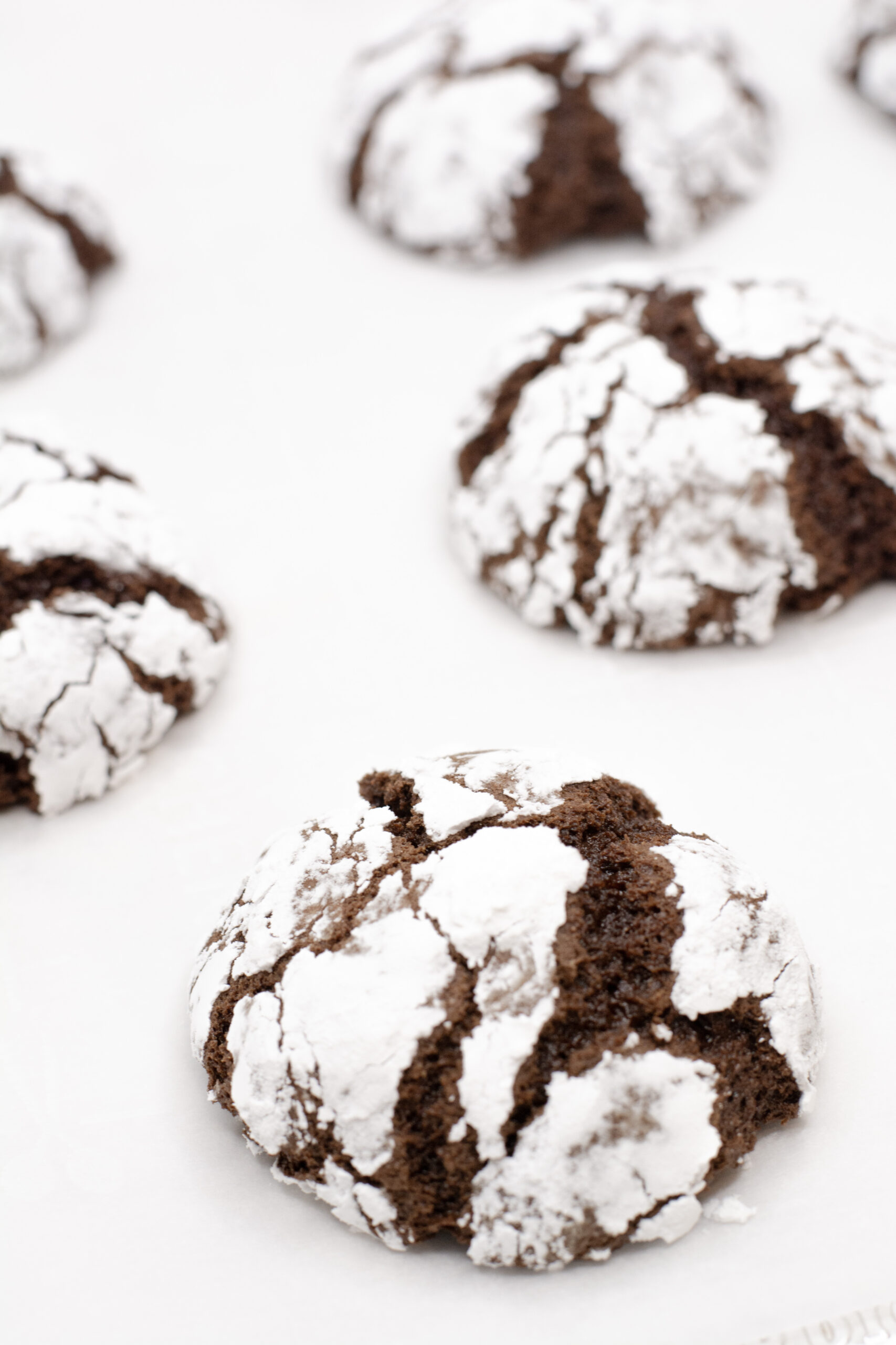 Chocolate Crinkle Cookies : The Girl Who Was Hungry